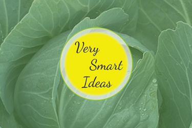 Newsletter Archive - Very Smart Ideas
